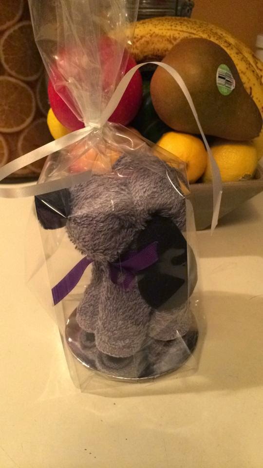 Muddy Paws & Puppy Kisses: Puppy Dog Wash Cloth Tutorial